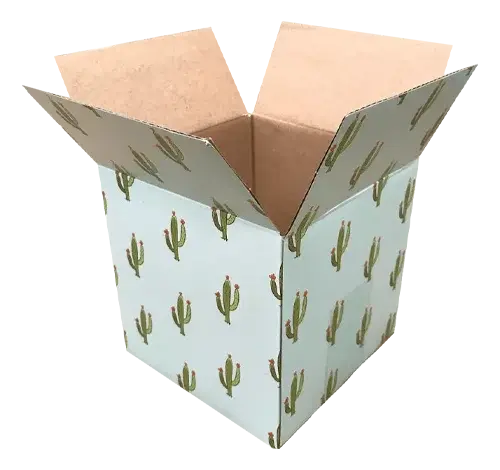 5x5x5 Boxes | Custom 5x5x5 Packaging Boxes